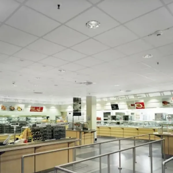 Armstrong Bioguard Plain (Армстронг Биогуард) - Купить в Астане ...